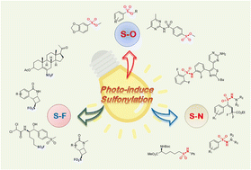 Visible-light-driven reactions for the synthesis of sulfur dioxide ...