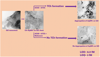 An ultrasensitive “mix-and-detect” kind of fluorescent biosensor for ...