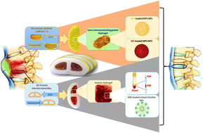 3D-bioimplants mimicking the structure and function of spine units for ...