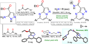 Synthesis of structural analogues of Reversan by ester aminolysis: an ...