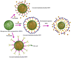Curcumin-loaded mesoporous silica nanoparticles for drug delivery ...