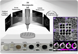 3D double-reinforced graphene oxide – nanocellulose biomaterial inks ...
