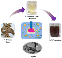 Green, facile and fast synthesis of silver nanoparticles by using ...