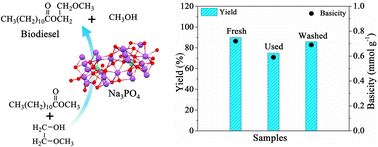 Sodium phosphate solid base catalysts for production of novel biodiesel ...