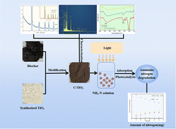 Photocatalytic performance of biochar-modified TiO2 (C/TiO2) for ...