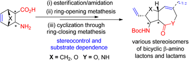 Stereocontrolled synthesis of some novel functionalized heterocyclic amino ester and amide ...