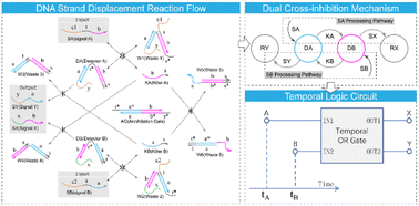 Temporal logic circuits implementation using a dual cross-inhibition ...