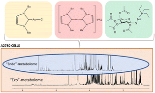 The effects of two cytotoxic gold(i) carbene compounds on the ...