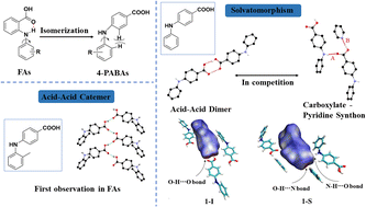 Solvatomorphism and first-time observation of acid–acid catemer in 4 ...