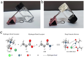Preparation and characterization of PA/P(AA-co-AM) composite hydrogels ...