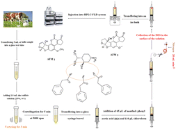 HPLC-FLD determination of aflatoxins M1 and M2 in raw cow milk samples ...