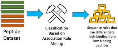 Sequence rules for gold-binding peptides - RSC Advances (RSC Publishing)