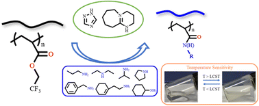Synthesis of functional polyacrylamide (co)polymers by organocatalyzed ...