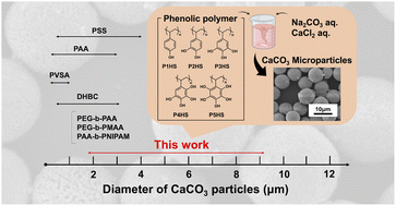 Using phenolic polymers to control the size and morphology of calcium ...