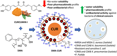 Curcumin I-SMA nanomicelles as promising therapeutic tool to tackle ...