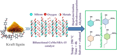 Catalytic depolymerization of Kraft lignin to high yield alkylated-phenols over CoMo/SBA-15 ...