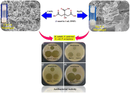 Two novel low molecular weight gelator-driven supramolecular ...