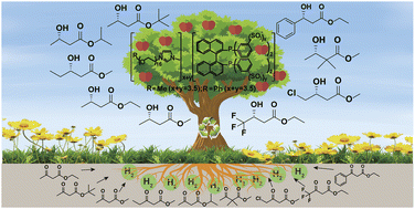 Highly efficient and recyclable chiral phosphine-functionalized ...