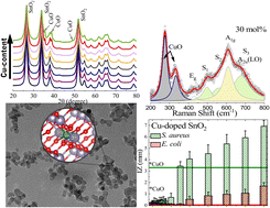 Cu-doped SnO2 nanoparticles: size and antibacterial activity ...