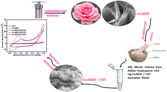 Evaluating the electrocatalytic activity of flower-like Co-MOF/CNT ...