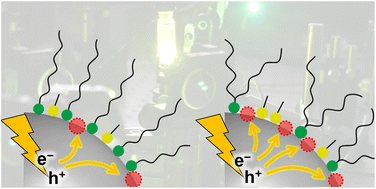 Effect of the bulkiness of alkyl ligands on the excited-state dynamics ...