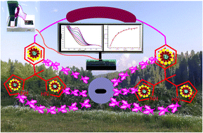 Facile synthesis and anion binding studies of fluorescein/benzo-12 ...