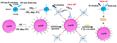 A “turn-on” fluorescence resonance energy transfer aptasensor based on carbon dots and gold ...