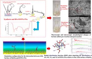 Preparation of barium sulfate chelating agent DTPA-5Na and molecular ...
