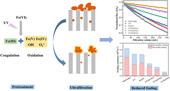 Coupling pretreatment of ultraviolet/ferrate (UV/Fe(vi)) for improving ...