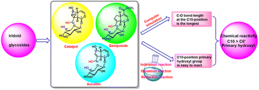Study on the chemical reactivity difference of primary hydroxyl groups ...