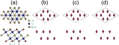 Intrinsic half-metallicity in two-dimensional Cr2TeX2 (X = I, Br, Cl ...