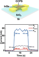 Polarization enhanced photoresponse of InSe via 2D ferroelectric CuCrP2S6 - RSC Advances (RSC ...