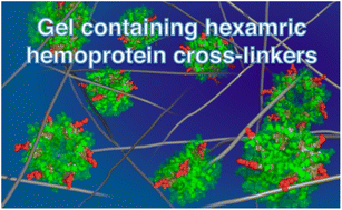 A polyacrylamide gel containing an engineered hexameric hemoprotein as ...