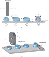 Dynamics of droplet motion over hydrophobic surfaces with ...