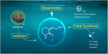 Isolation and total synthesis of dysidone A: a new piperidone alkaloid ...