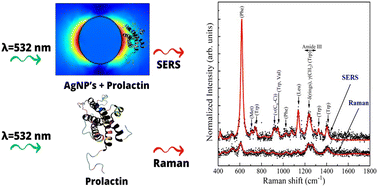 Quasi-spherical silver nanoparticles for human prolactin detection by ...