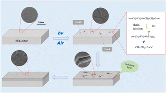 Study on aging behavior of polyethylene glycol under three wavelengths ...