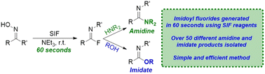 A modified Beckmann rearrangement for the facile synthesis of amidines ...