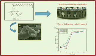Hydrophobic carboxymethyl cellulose as a clean-up sorbent in the ...