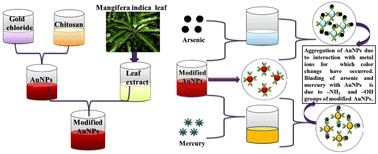 Quantifying arsenic and mercury in aqueous media via bio-inspired gold ...