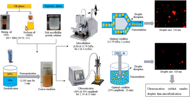 Shrimp oil nanoemulsions prepared by microfluidization and ...