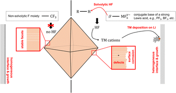 A nonsolvolytic fluorine/LiNO3-containing electrolyte for stabilizing ...