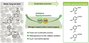 Sustainable production of catechol derivatives from waste tung nutshell ...
