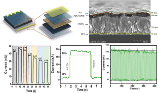 A self-powered photodetector through facile processing using polyethyleneimine/carbon quantum ...