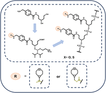Synthesis and stability studies of bicyclo[6.1.0]nonyne scaffolds for ...