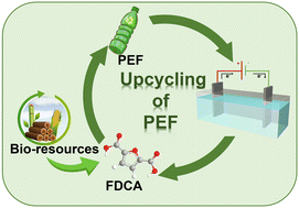 Electrocatalytic valorization of waste polyethylene furanoate (PEF ...