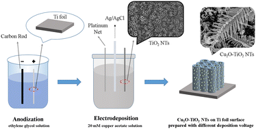 Fabrication of Cu2O-loaded TiO2 nanotubes with heterojunctions via an ...