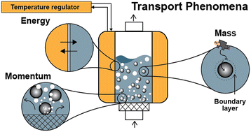 Transport phenomena in solid phase synthesis supported by cross-linked ...