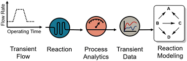 Dynamic experiments in flow accelerate reaction network definition in a ...