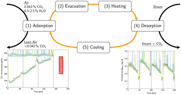 Experimental study of CO2 capture from air via steam-assisted ...